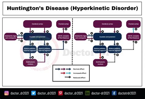 Monohybrid Cross Explained Definition Steps Examples And Mendelian