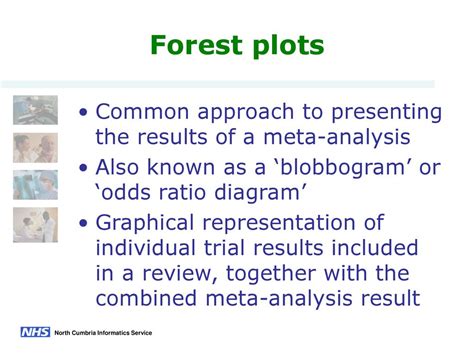 Critical Appraisal Skills Quantitative Reviews Ppt Download