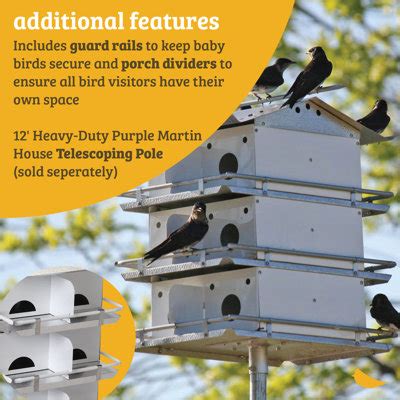 Birds Choice Purple Martin House With Starling Resistant Entrance Holes And Reviews Wayfair Canada