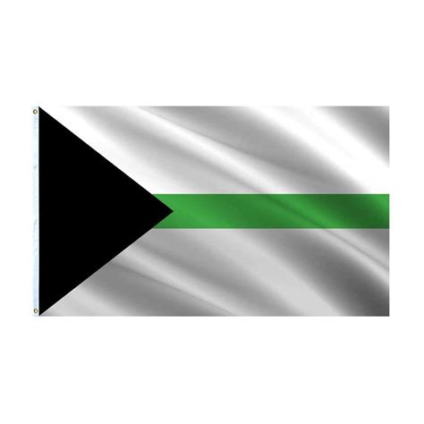 Demiromantic Pride Flag Symbol High Quality Polyester Design Globe Flags