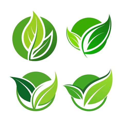 Premium Vector Green Leaf Icons Set Leaves Icon On Isolated Background Collection Green Leaf