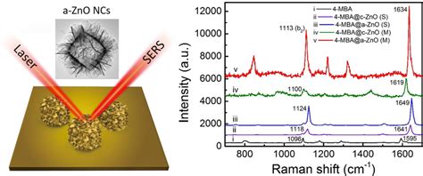 Sers Activity Observed For Amorphous Zno Nanocages Adapted With