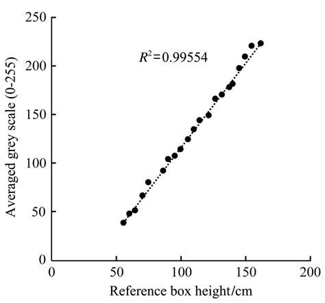 Linear Relationship Found Between The Height Of The Reference Boxes And Download Scientific