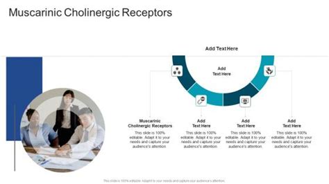 Muscarinic Cholinergic Receptors Powerpoint Templates Slides And Graphics