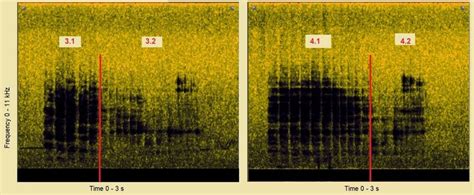detailed spectrogram of chirps 3 and 4 of fig 2 time scale 0 3 s