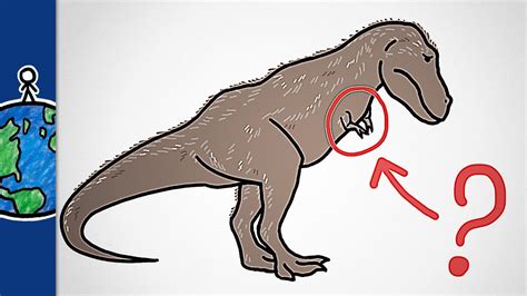 Why Did The T Rex Have Such Short Arms