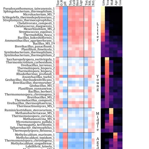 Spearman Correlation Matrix Beween Physicochemical Parameters And The
