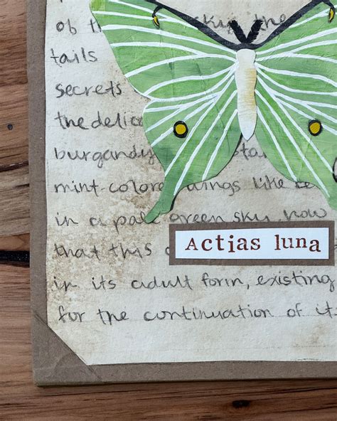 Scientific Botanical Pattern Natures Lab Party