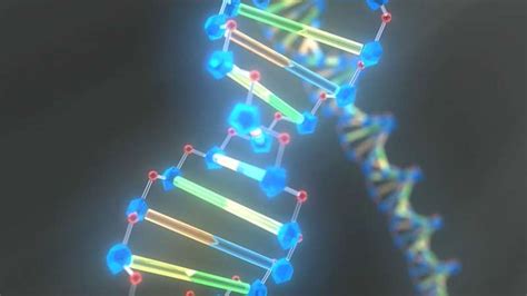 Dna And Genetics 8th Grade Flashcard Wayground