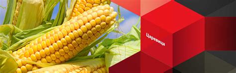 СОЙЛГАРД 1,5 ГР - Sharda Bulgaria