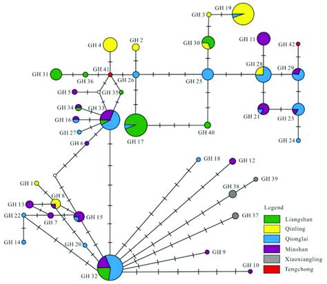 Median Joining Network Of The 655 Bp Mitochondrial Dna Control Region