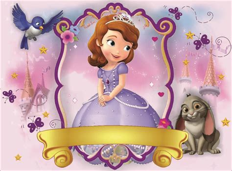 Princesa Sofia Marco Decoracion Cumpleaños Princesa Sofia Decoracion