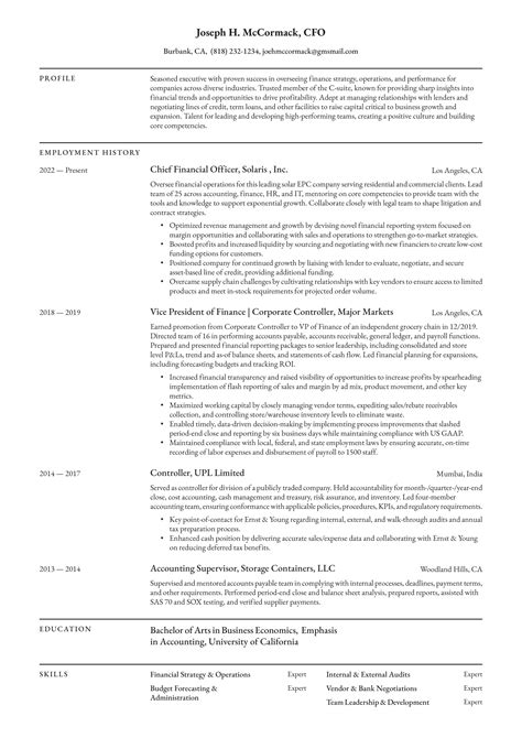 Cfo Resume Example And Writing Guide