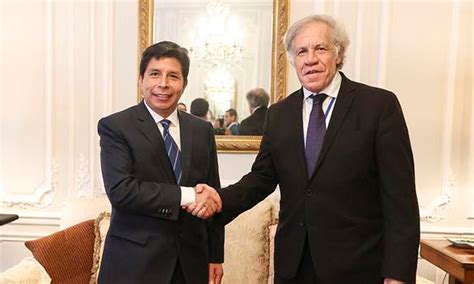 Oea Respalda Al Presidente Castillo Y Activa Carta Democrática Atv