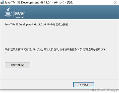 jdk11下载与安装教程（win10）超详细 csdn博客