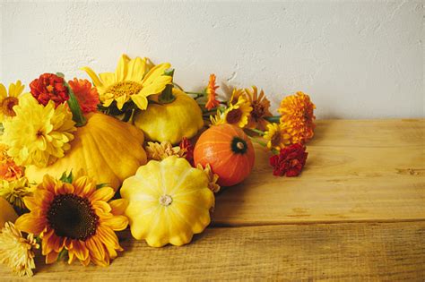 행복한 추수 감사절 소박한 배경에 세련된 가을 구성 화려한 가을 꽃 호박 나무 테이블에 패티탄 스쿼시 계절 인사말 카드 텍스트를위한 공간 안녕하세요 가을 0명에 대한 스톡