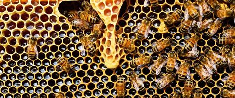 Using Githubs Dependabot With Aws Codeartifact Dev Community