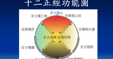 正本清源話太極 暑煮也熱如煮物也