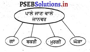 PSEB rd Class EVS Solutions Chapter ਪਰਵਰ ਅਤ ਜਨਵਰ PSEB Solutions