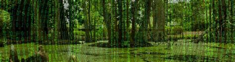 Avoiding Data Swamps With It Ot Convergence