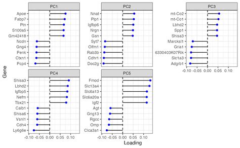 Basic Analysis Of 10x Example Visium Dataset • Voyager