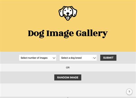 Python For Web Apps And Data Course Skillcrush