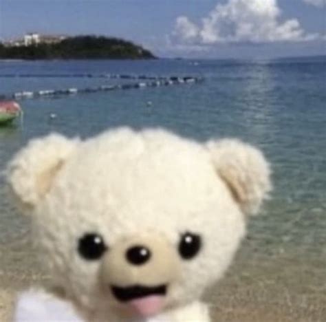 Adorable White Teddy Bear On The Beach