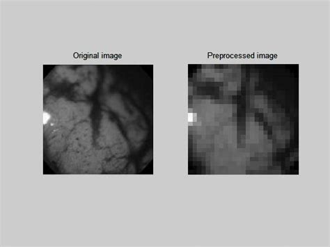 3 K Means Clustering 3 Shows The Clustering Output Using K Means This