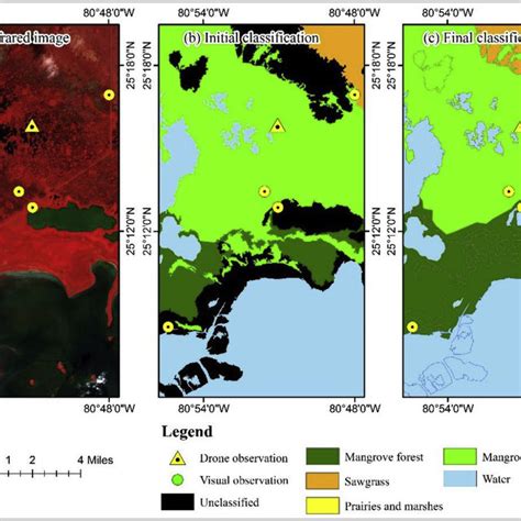 List Of Nlcd Classes And Subsequently Matched Subclasses Vegetation Download Scientific