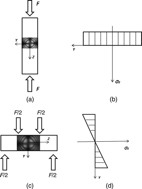 The Compression Configuration A Forces Acting On The Sample And B Download Scientific