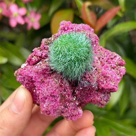 Ruby Zeolite Dandelion Specimen Crystal Quartz Cluster Home Decor Mineral Specimens Crystal