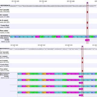SNPs In The Structural Genes A A Single Homozygous Non Synonymous SNP Download Scientific