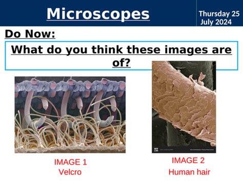 Microscopes Teaching Resources