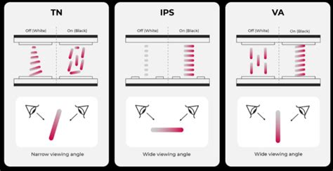 Tn Vs Ips Vs Va Panels Ultimate Guide For Perfect Display Selection Arzopa