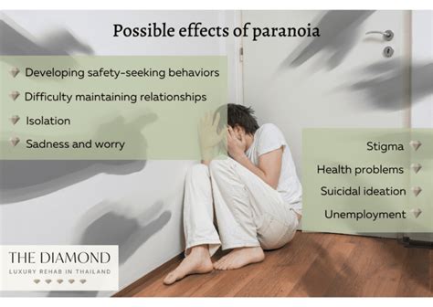 Paranoia Causes Symptoms And Treatments The Diamond Rehab Thailand