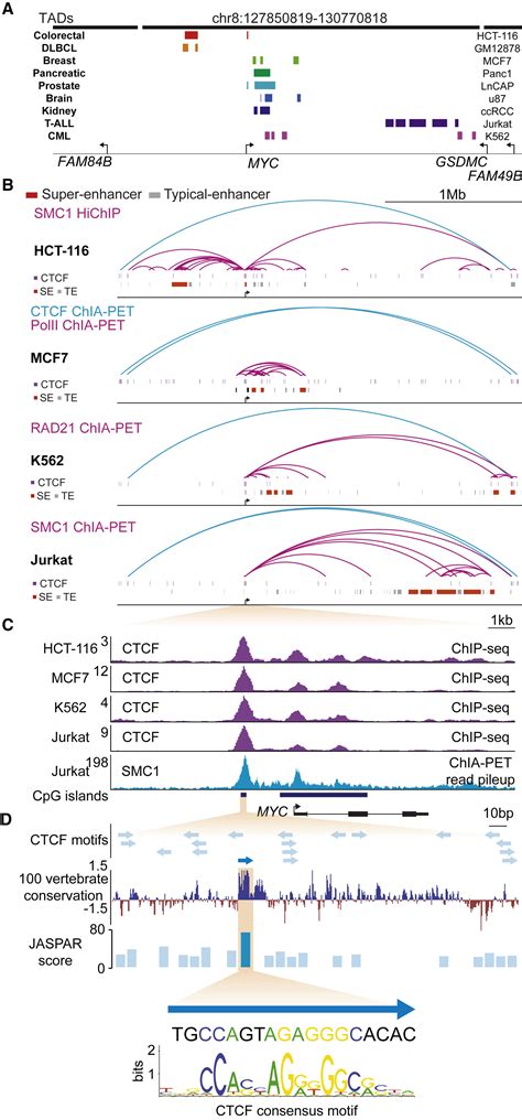 transcriptional dysregulation of myc reveals common enhancer docking