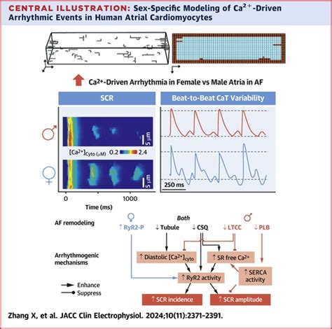 Jacc Clinical Electrophysiology Vol 10 No 11