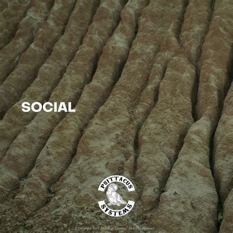 Psittacus Systems On Linkedin Socialmedia Digitalagency