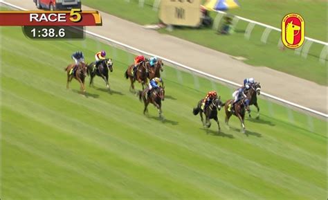 Mysk2 Dyndns A Complete Guide To Dynamic Dns Service Parivahan Sewa