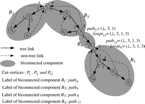 T Dfs Of A Graph And Its Subtrees Within The Biconnected Components