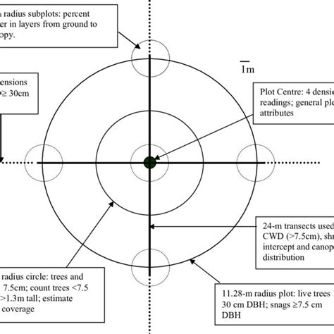 Bat Echolocation Frequency And Species Groupings Identification Was Download Table