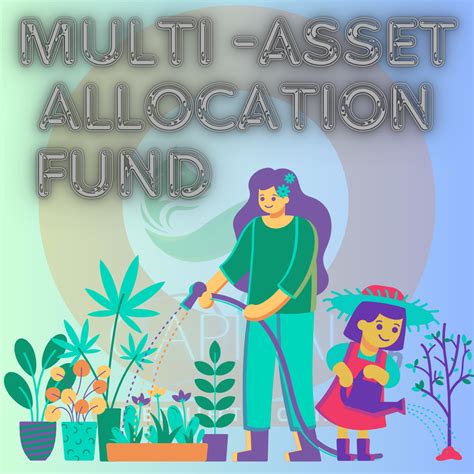 Multi Asset Allocation Fund