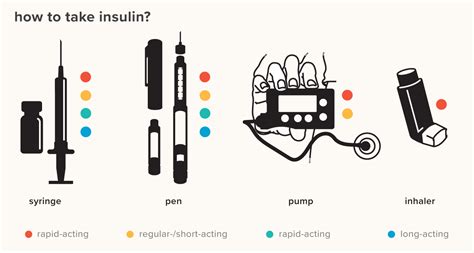 Insulin Injection Sites Diagram Printable
