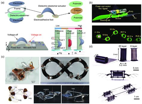 Recent Advances In Electrically Driven Soft Actuators Across Dimensional Scales From 2d To 3d