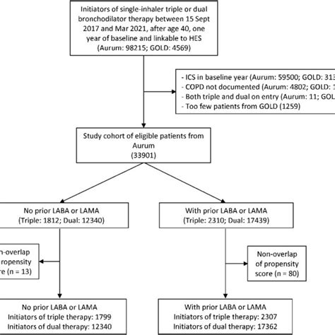 Flowchart Of Cohort Selection Download Scientific Diagram