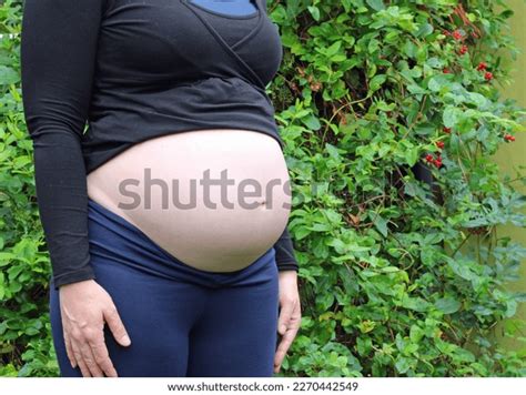 Pregnant Belly Naked Stomach Pregnancy Stock Photo Shutterstock