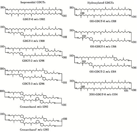 羟基甘油二烷基甘油四醚脂类化合物研究进展