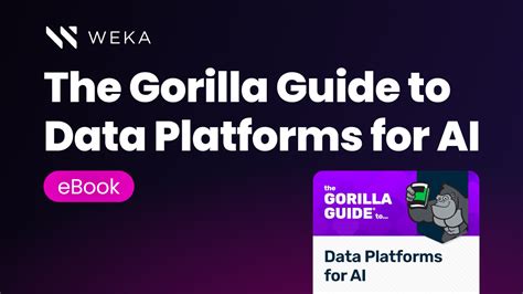 The Gorilla Guide To Data Platforms For Ai Weka