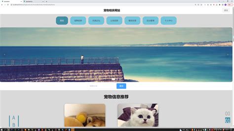 基于spring Boot和vue的宠物相亲网站的设计与实现springboot宠物交友 Csdn博客