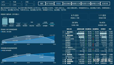 数据可视化 财务报表分析 知乎
